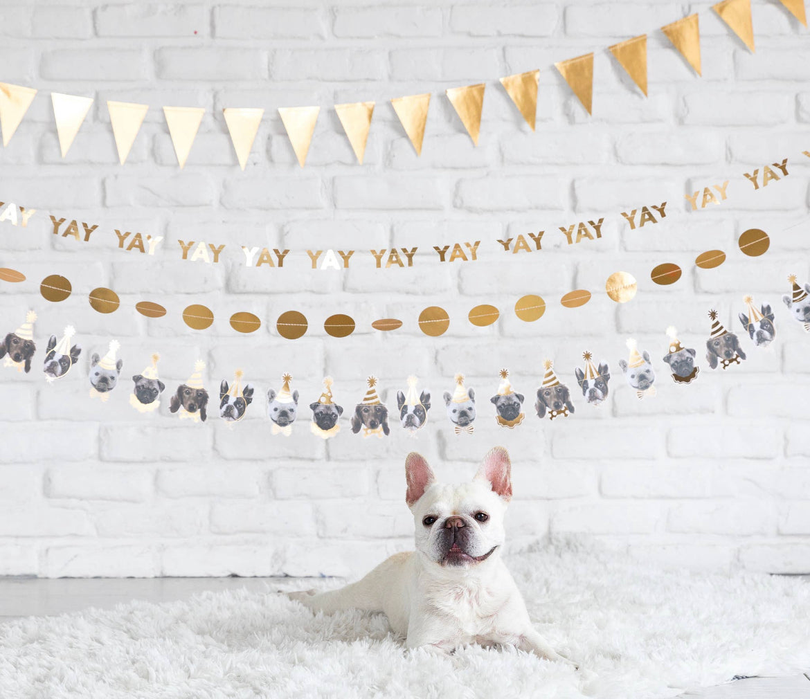 BASHES. | DC Premium Party + Balloon Delivery & Pickup