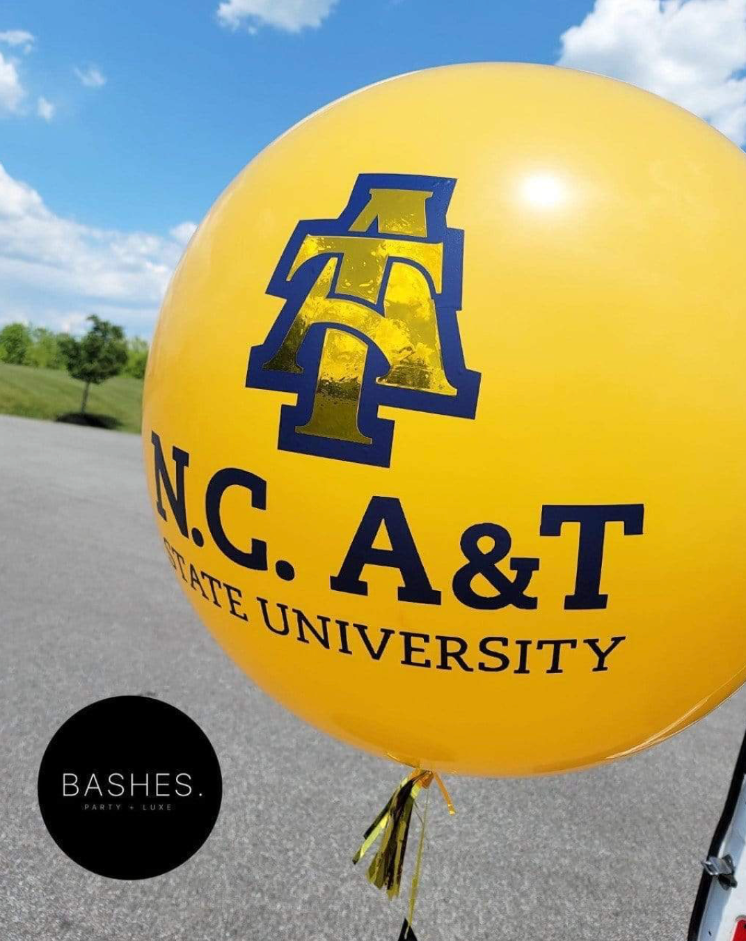 BASHES. Signature Alma Mater Balloon